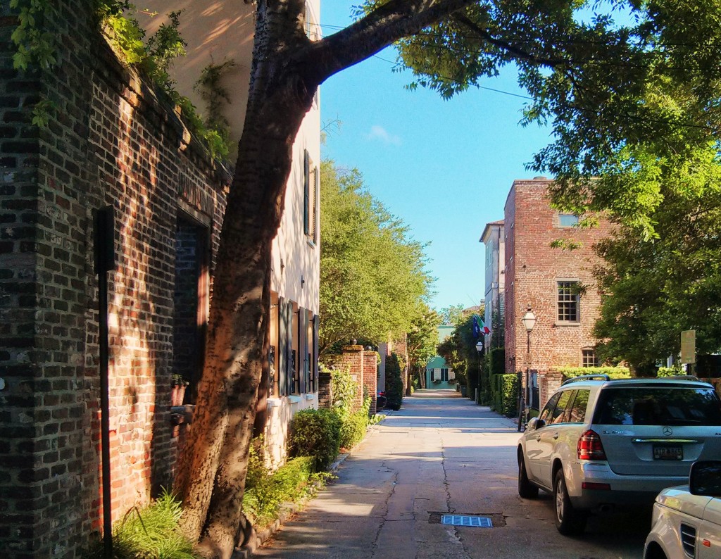 Shaded Alley - Glimpses of Charleston