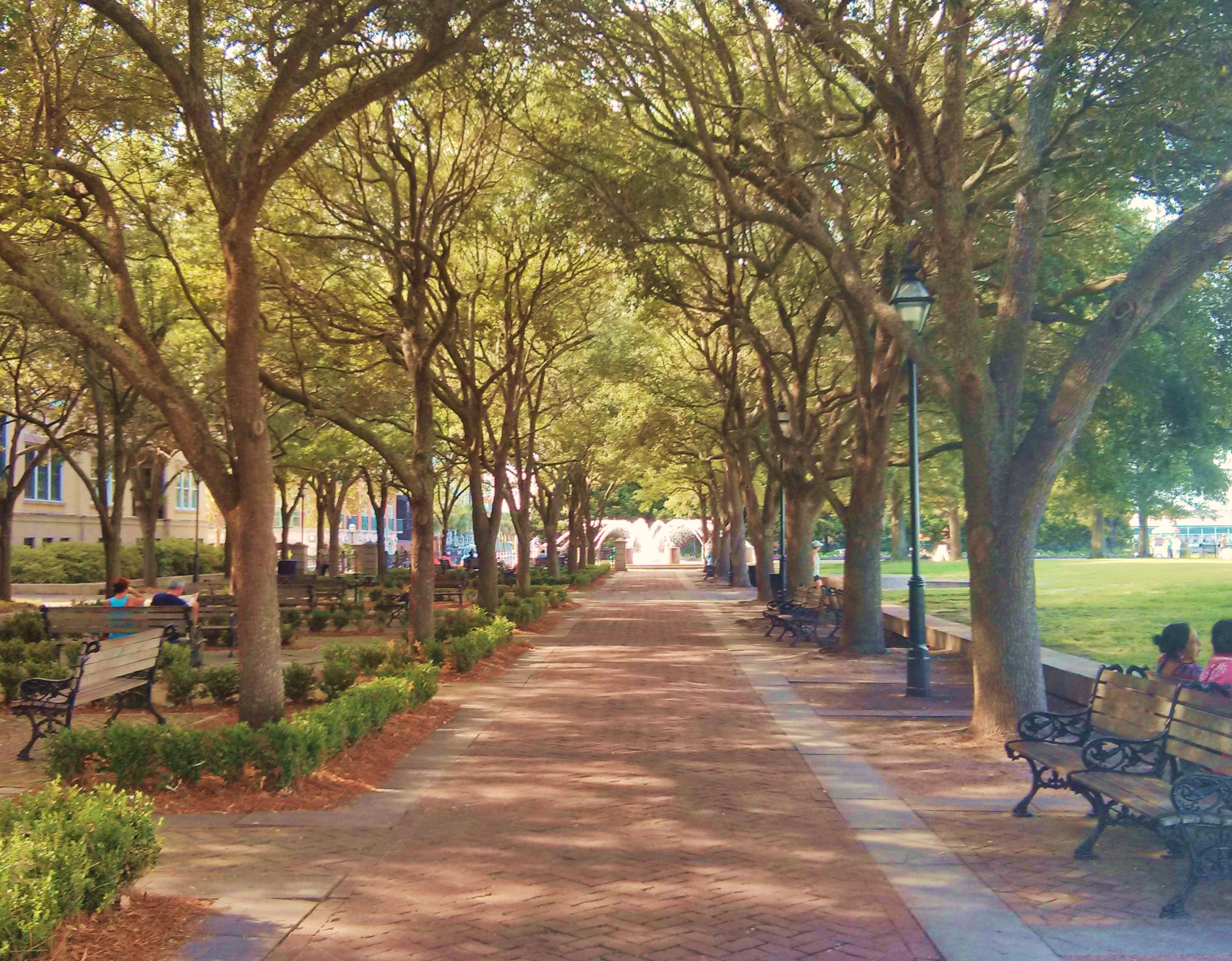 Fountain Walk - Glimpses of Charleston