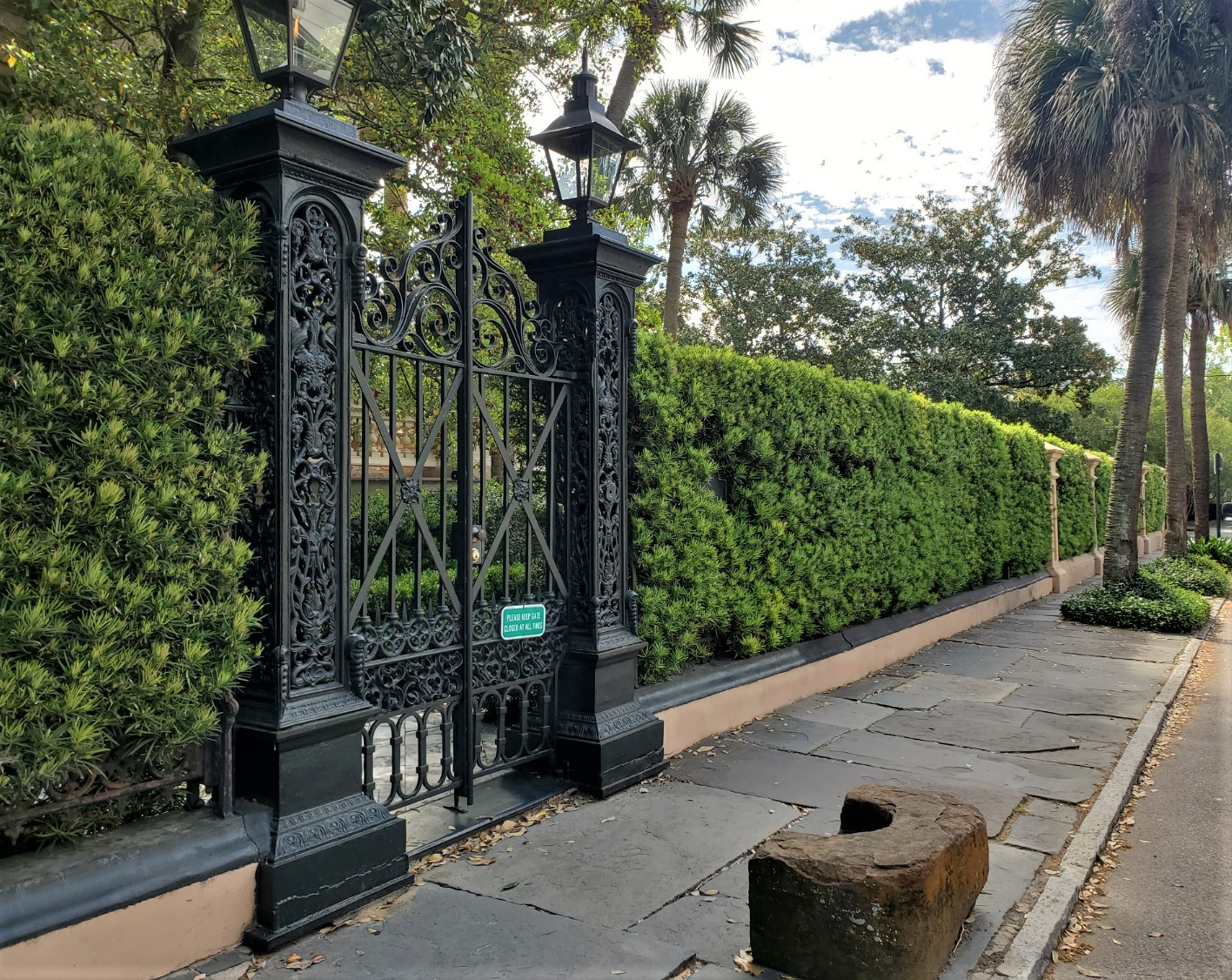 Carriage Steps - Glimpses of Charleston