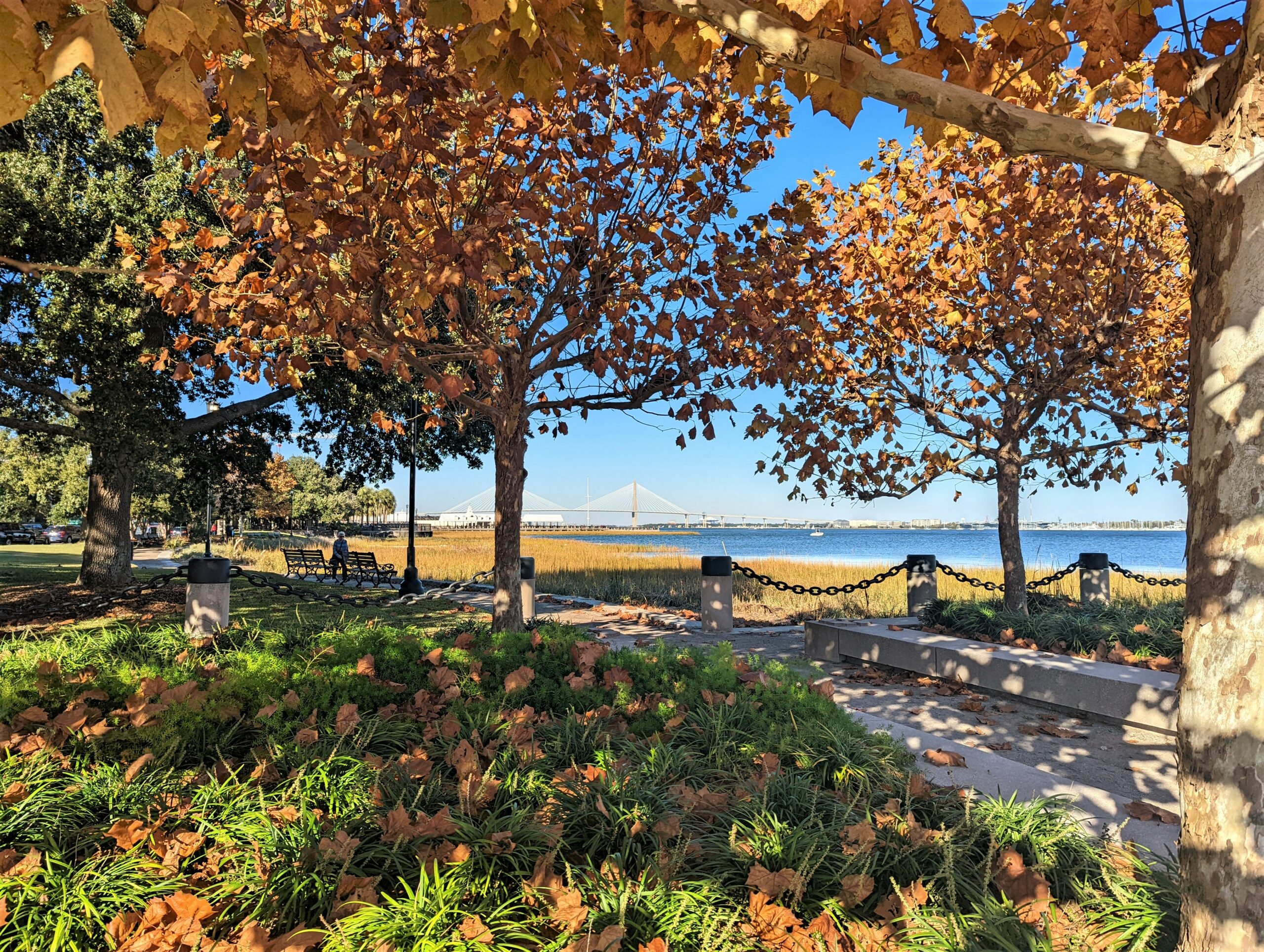 Fall - Glimpses of Charleston