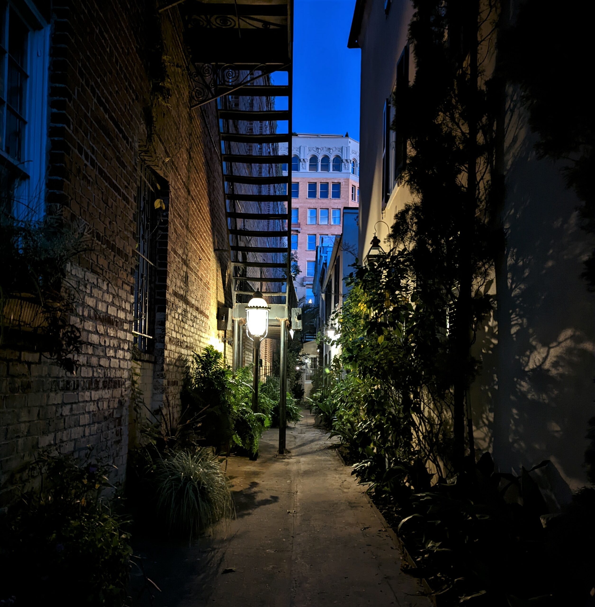 Four Post Alley - Glimpses of Charleston
